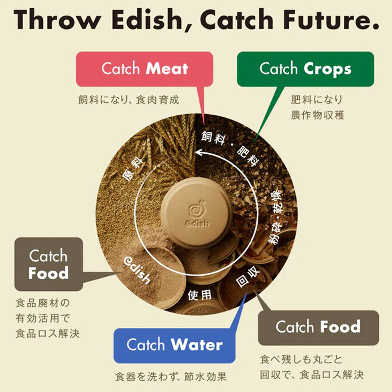 edish deep 10個セット