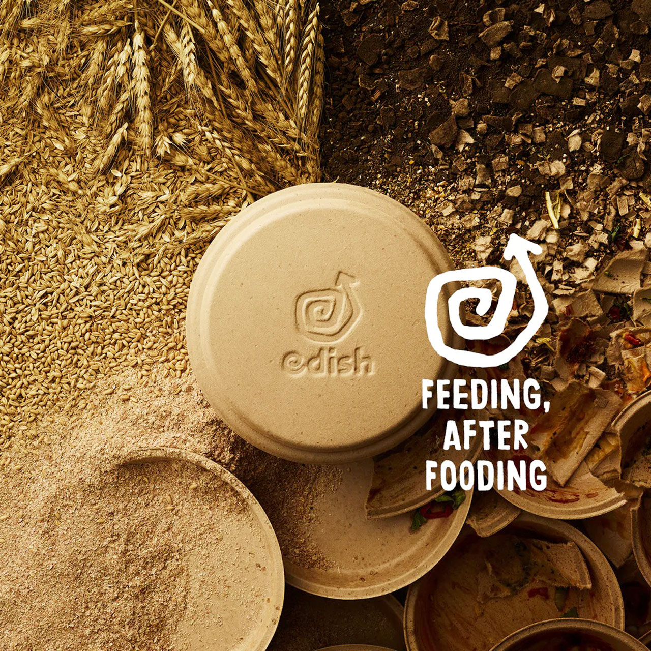 edish flat 10個セット